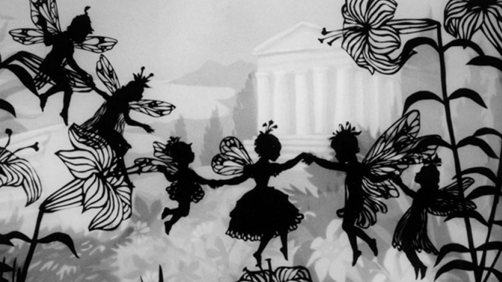 Silhouette animation — Darvideo